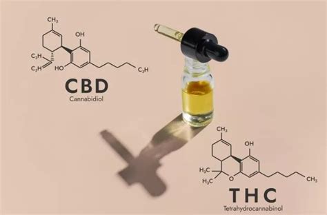 Full Spectrum Cannabis Extracts 2025 Whole Plant Benefits