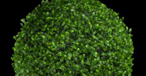 Integrity Insights Spotlight On Esg Deloitte