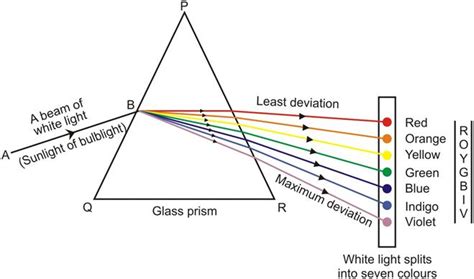 Refraction Of Light Through A Glass Prism Human Eye And Colourful World CBSE Tutorials