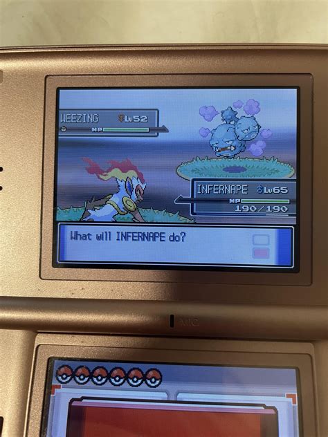 Well Lets Hope It Doesnt Explode… I Already Used My Master Ball R Pokemonplatinum