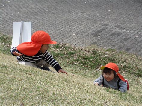 春の散歩～もも組（2歳児）～：「興道北部保育園」からのお便り