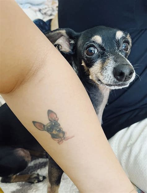 Healed Tattoos Small Pet Tattoos Ideas And Examples Paw Tattoo — Paw