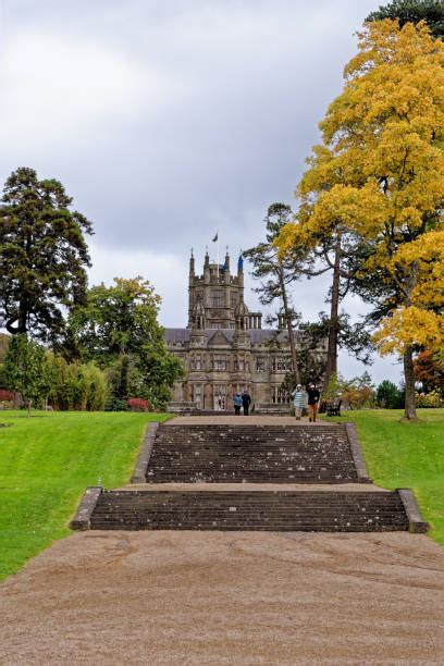 130 Margam Country Park Foto Foto Foto Stok Potret And Gambar Bebas