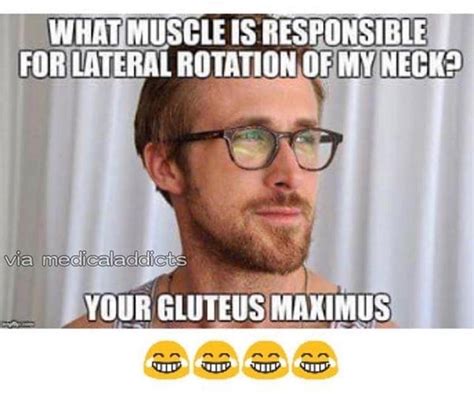 Funny Massage Therapist Quotes