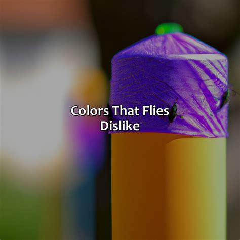 What Color Do Flies Hate