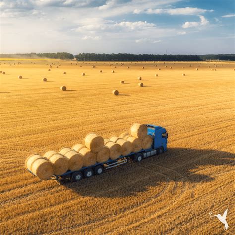 What Is The Difference Between Supply Chains And Value Chains