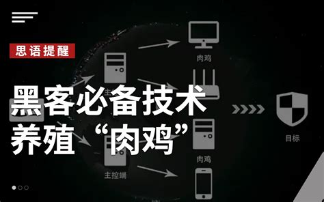 思语app思语安全加密聊天软件带你了解黑客必备技术 养殖肉鸡 哔哩哔哩 bilibili