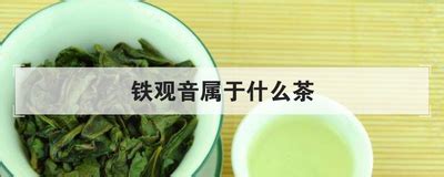 铁观音属于什么茶 酷知科普