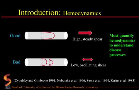 Ppt The Impact Of Lower Limb Exercise On Abdominal Aortic