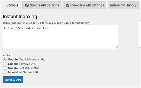 Google Index API Kurulumu ve Kullanımı Rehber İçerik Can GEDİK