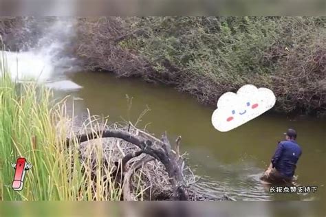 盘点搞笑名场面：每一段都爆笑不停，专治不开心