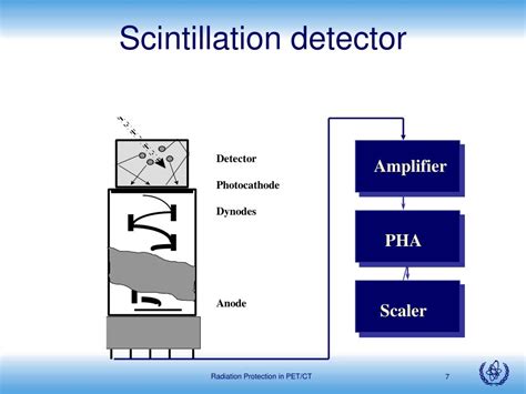 Ppt L 12 Powerpoint Presentation Free Download Id 290143
