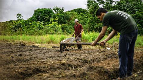 Daniel Coronel Posted On Linkedin