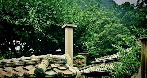 2023仙岩园游玩攻略 仙岩园出于鹿儿岛市的临海位 去哪儿攻略