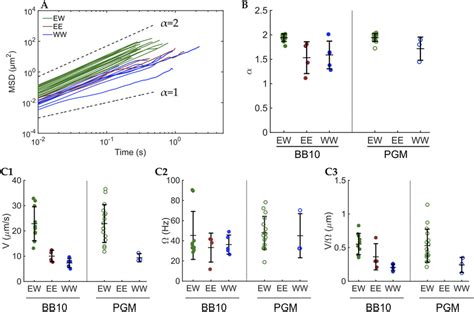 Msd And The Exponent α For Each Mode Along With Speed And Body Rotation Download Scientific