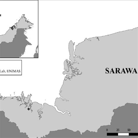 The Peat Swamp Forest Environment In Real Living Lab Unimas Download