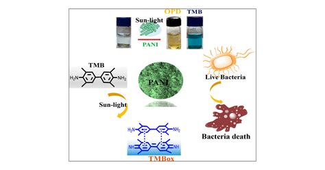 Intrinsic Light Activated Oxidase Mimicking Activity Of Conductive Polyaniline Nanofibers A