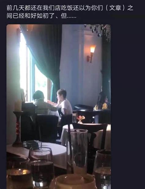 馬伊琍文章離婚第4天，新歡曝光：原來是一切早就蓄謀已久啊 每日頭條