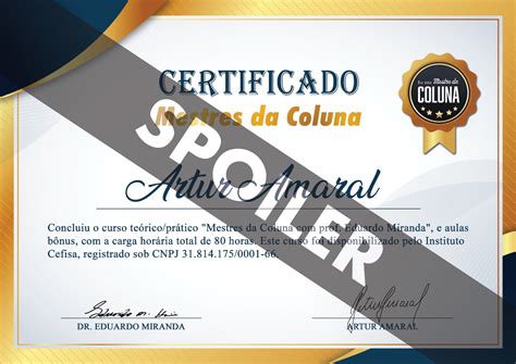 MET Mestres Da Coluna CAP Instituto CEFISA
