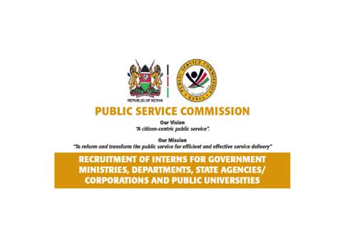 Public Service Paid Internship Programme Psip Cohort 8 Open For