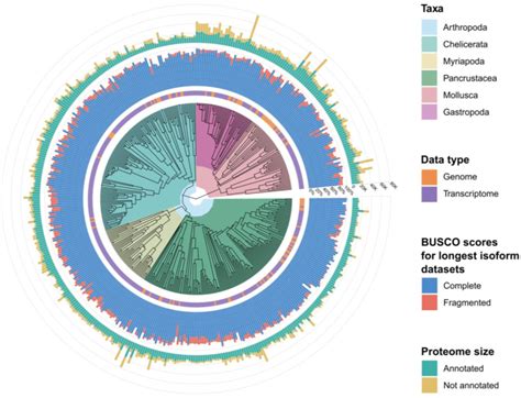 Taxonomic Representation Of Taxa Included In Matedb V1 Taxonomic Rank