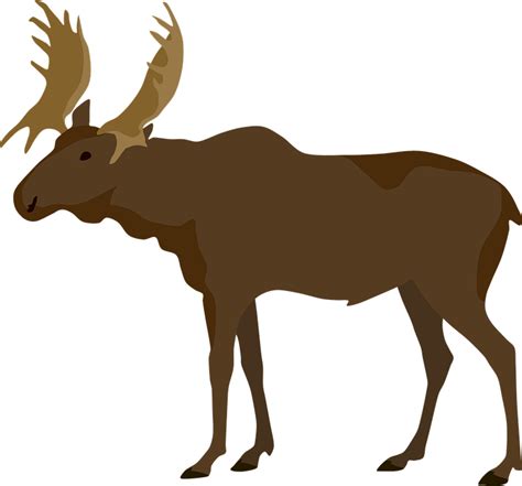 Älg Rådjur Platt Design Gratis vektorgrafik på Pixabay Pixabay