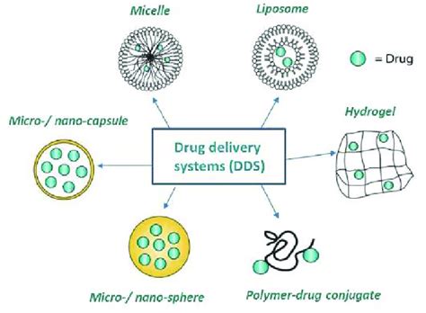 Overview Of Polymeric Based Drug Delivery Systems Dds [23