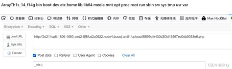 Suctf 2018 Getshell Csdn博客