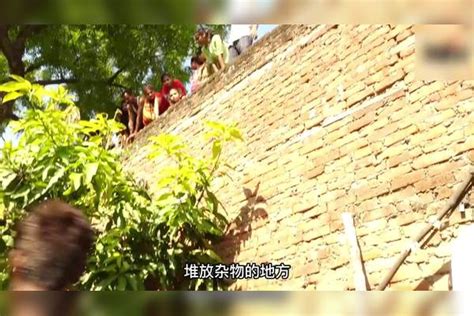 家里面竟然跑进来了一个不可思议的家伙，邻里街坊纷纷过来围观！邻里街坊家伙