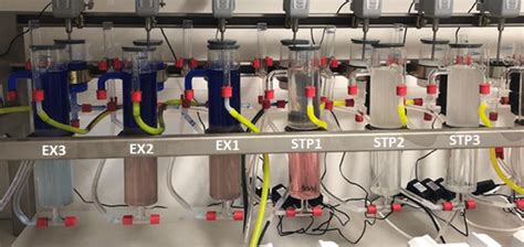 Recovery Of Cobalt From A Nickel And Cobalt Sulfate Feed Using Three Download Scientific