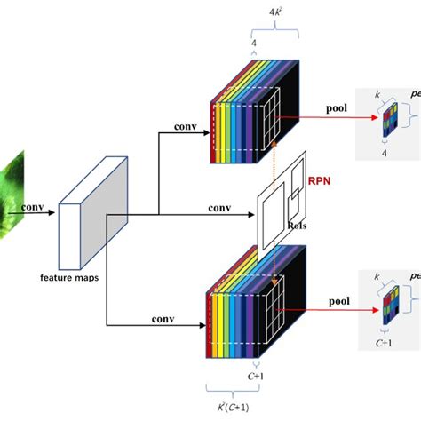 The Architecture Of Rpn Download Scientific Diagram