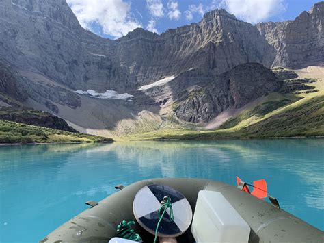 The Mysterious Life Of A Newborn Lake Flathead Beacon