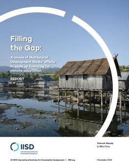 Filling The Gap A Review Of Multilateral Development Banks Efforts To
