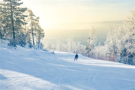 스키 슬로프 겨울 풍경 안개 하늘과 숲 스키어가 내려가고 후면보기가 보입니다 건강한 생활방식에 대한 스톡 사진 및 기타 이미지 건강한 생활방식 겨울 겨울 스포츠