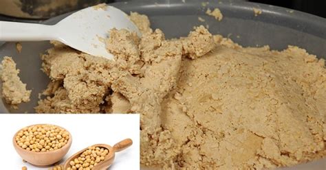Hướng Dẫn Cách ủ Bã đậu Nành Cho Bò ăn Tiêu Hóa Tốt Khỏe Mạnh
