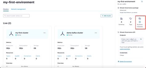 Stream Catalog On Confluent Cloud Confluent Documentation