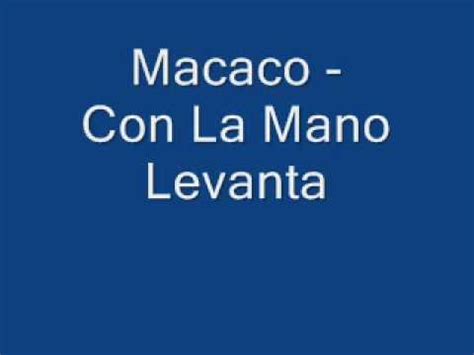 Macaco Con La Mano Levanta Wmv Youtube