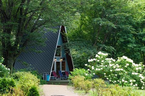 그레이스정원 정원에 목수국이 피었습니다 여름휴가 잘 보내고 계시나요 무더운 여름 목수국이