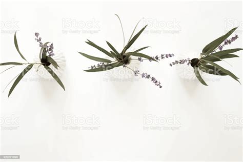 흰색 배경에 흰색 화병에 라벤더와 유칼립투스 지점의 3 꽃다발 최고의 볼 수 있습니다 공간에 복사 합니다 0명에 대한 스톡 사진