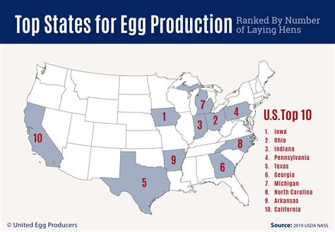 Facts And Stats United Egg Producers
