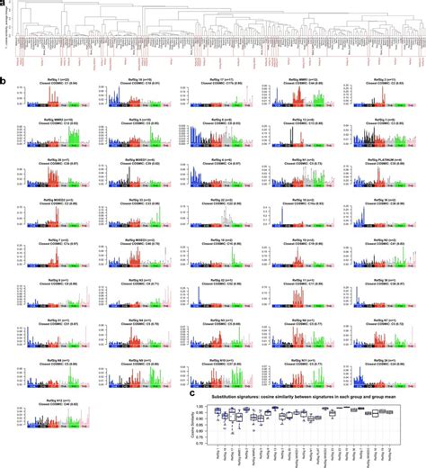 hierarchical clustering of substitution mutational signatures obtained