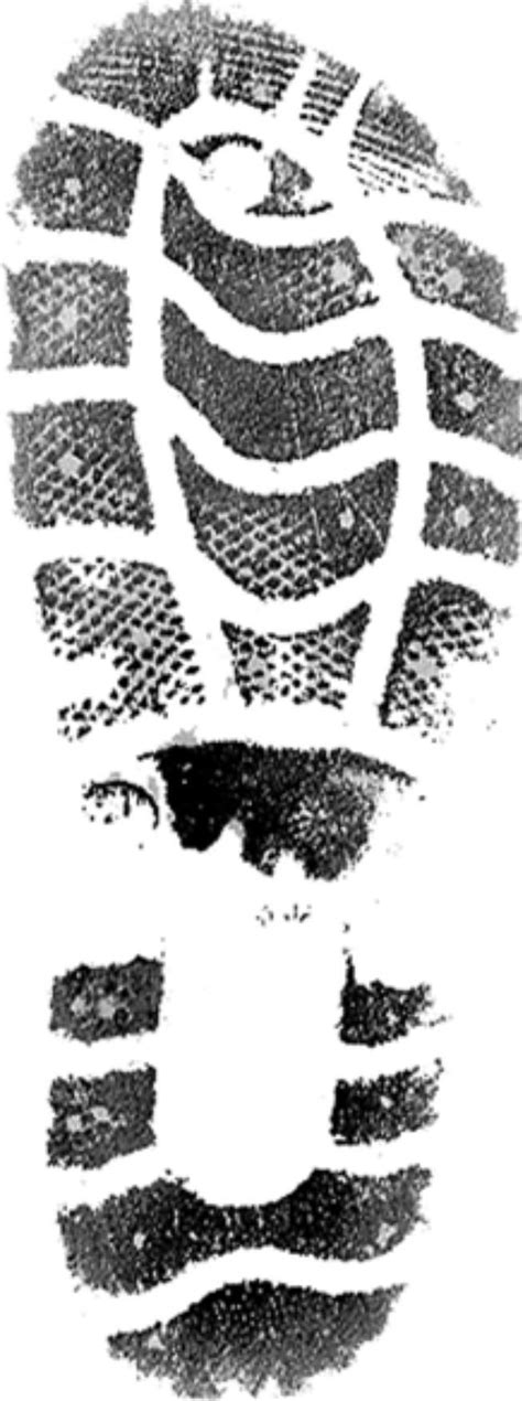 Found A Database Of Tread Patterns Rfromtvepix Found A Database Of Tread Patterns Rfromtvepix