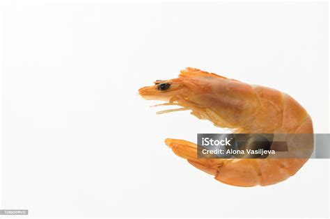 새우 는 흰색 배경에 고립 된 식품 호랑이를 참조하십시오 갑각류에 대한 스톡 사진 및 기타 이미지 갑각류 꼬리 끓는 물에