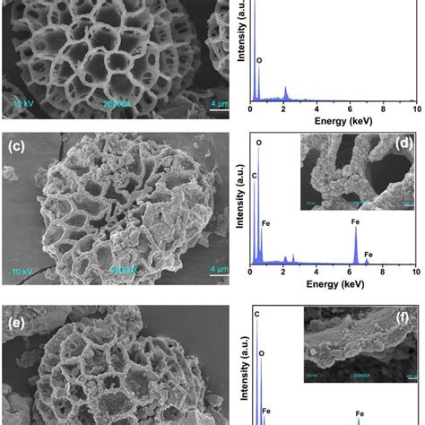 Sem And Edx Analysis Of A B Sp C D Fe3o4sp And E F Pdapaamfe3o4