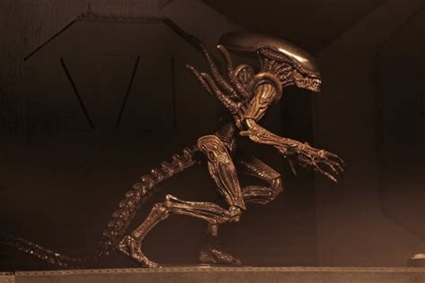 Neca Shows Off Ripley Clone And Xenomorph Figures From Their New Alien