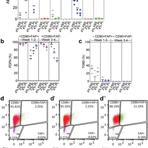 Replication Induced Senescence In Fibroblasts Expanded In Download
