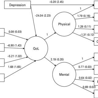 The Multiple Indicators Multiple Causes Mimic Model Depression And
