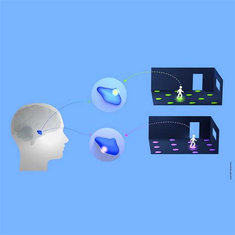 Measuring Spatial Navigation With Xr A Unique Window Into Early