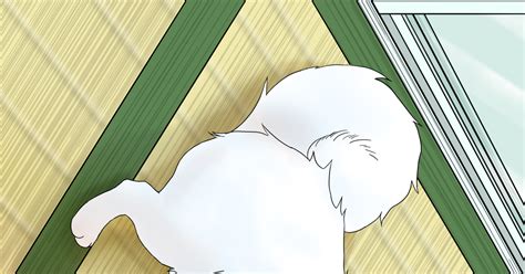 腐向け 【web再録】ちょっとそこまで【赤安ぬい】 岡本のイラスト Pixiv