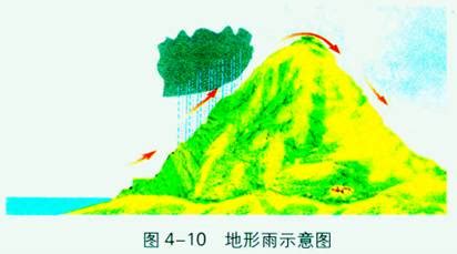 知识强化